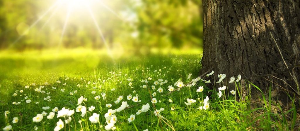 Remembering Sinclair Delisle Roach